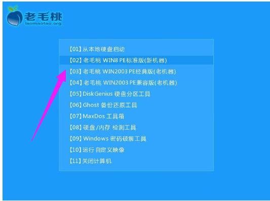 pe系统,小编教你如何用pe安装win8系统 - 番茄系统家园